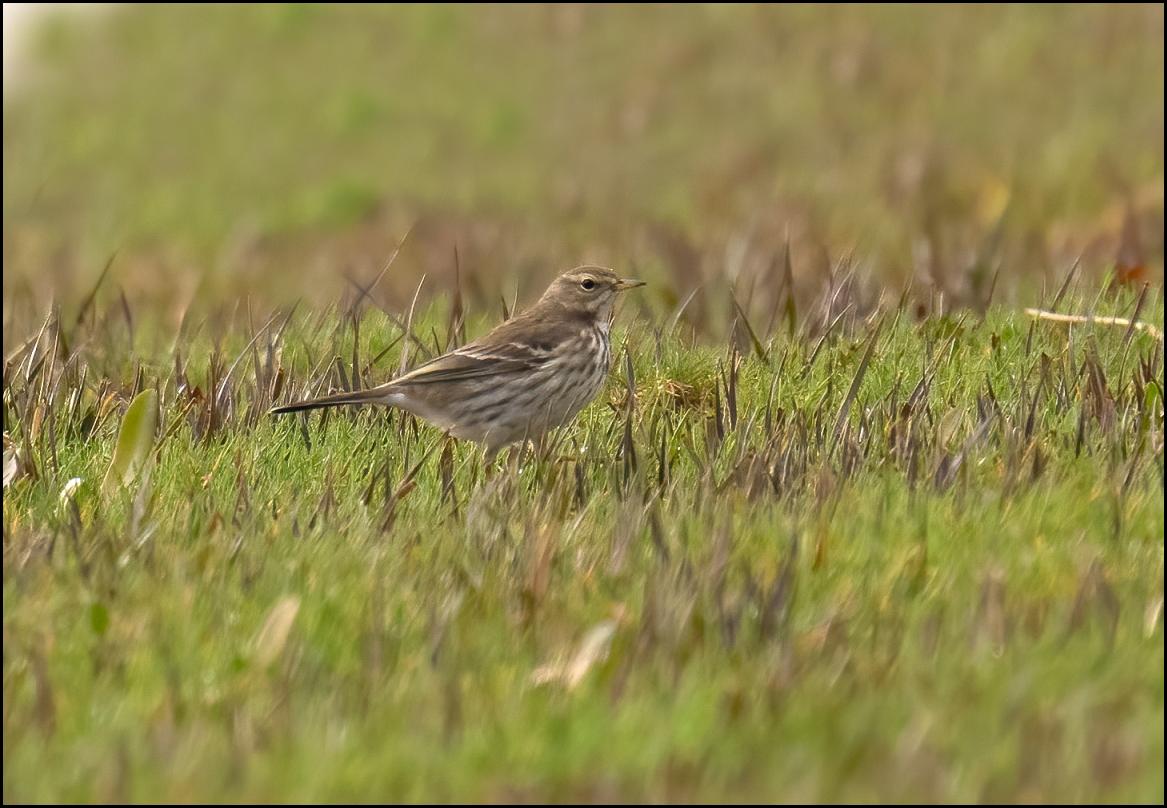 Saturday 5th February 2022