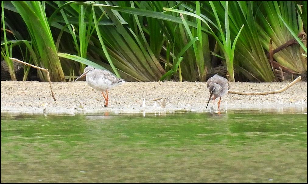 Wednesday 5th October 2022