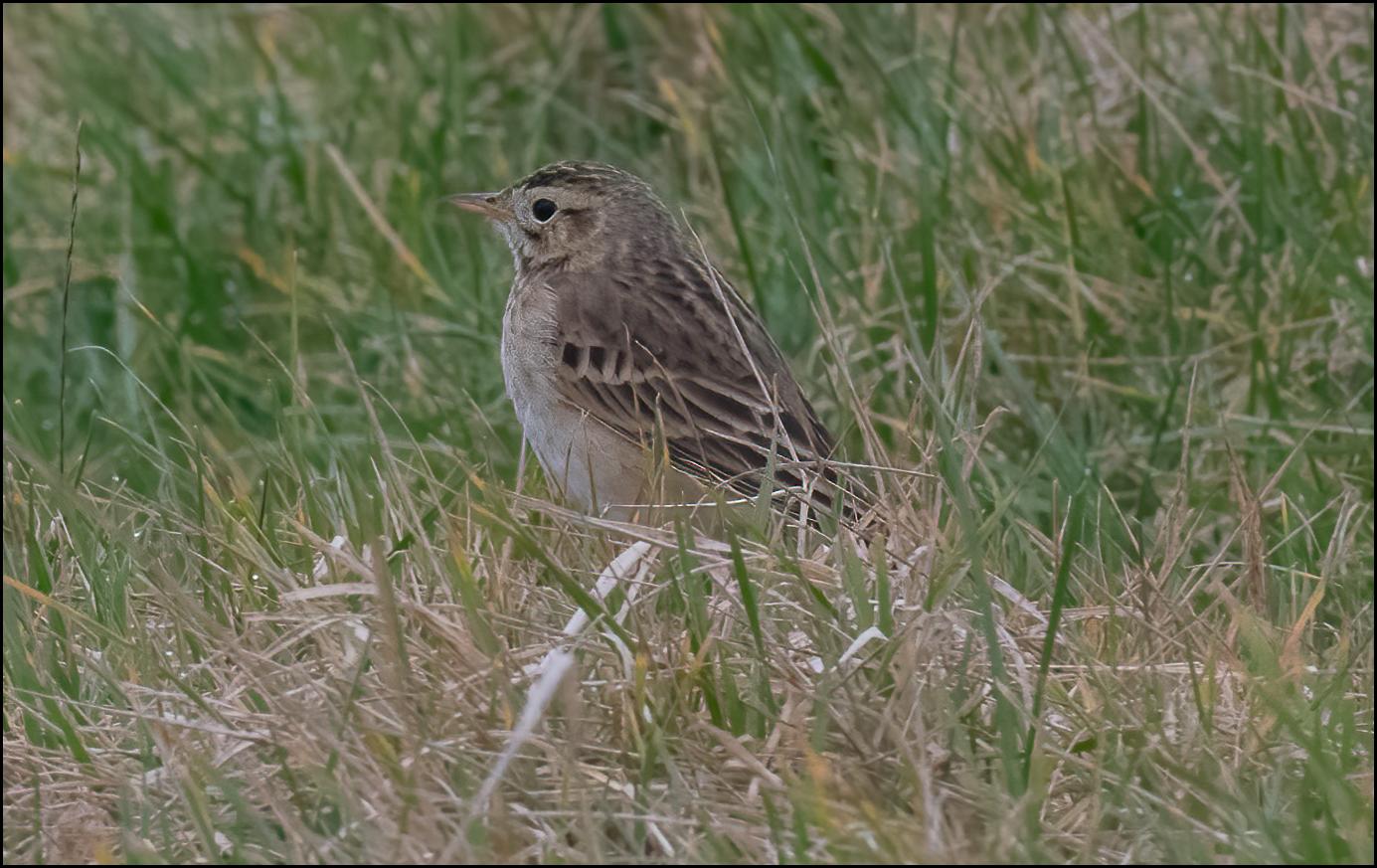 Tuesday 21st February 2023