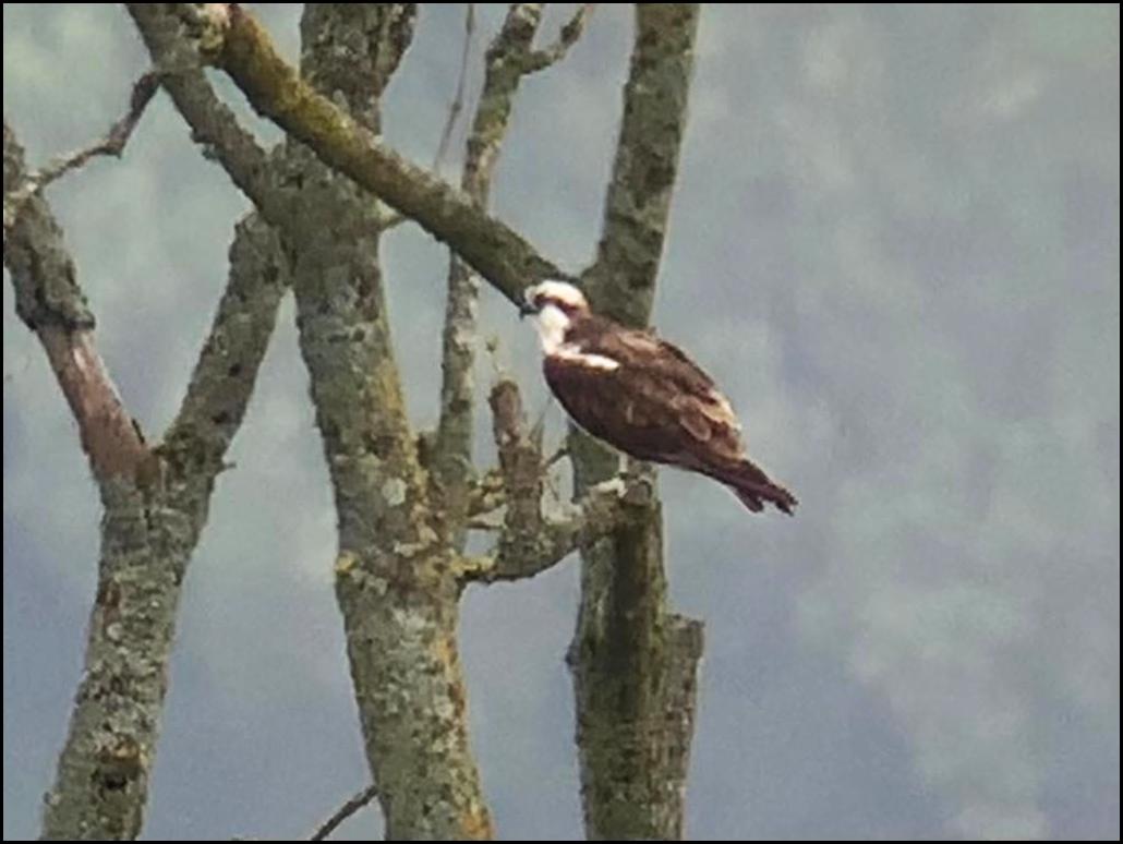 Tuesday 11th July 2023