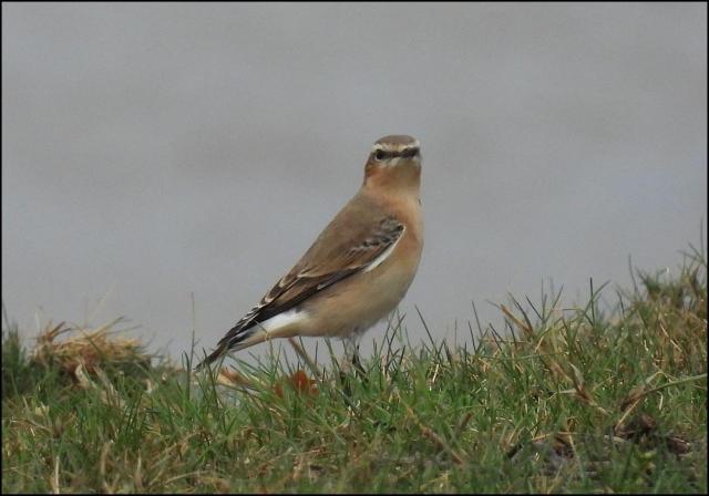 Saturday 23rd August 2025