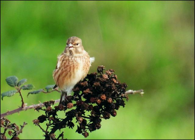 Monday 24th November 2025