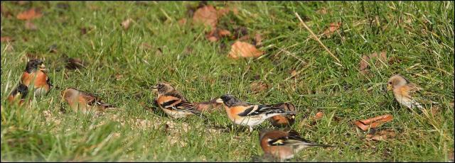 Wednesday 14th January 2026