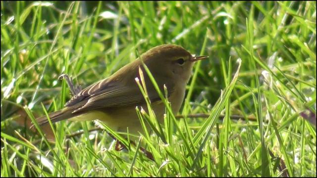 Tuesday 6th January 2026