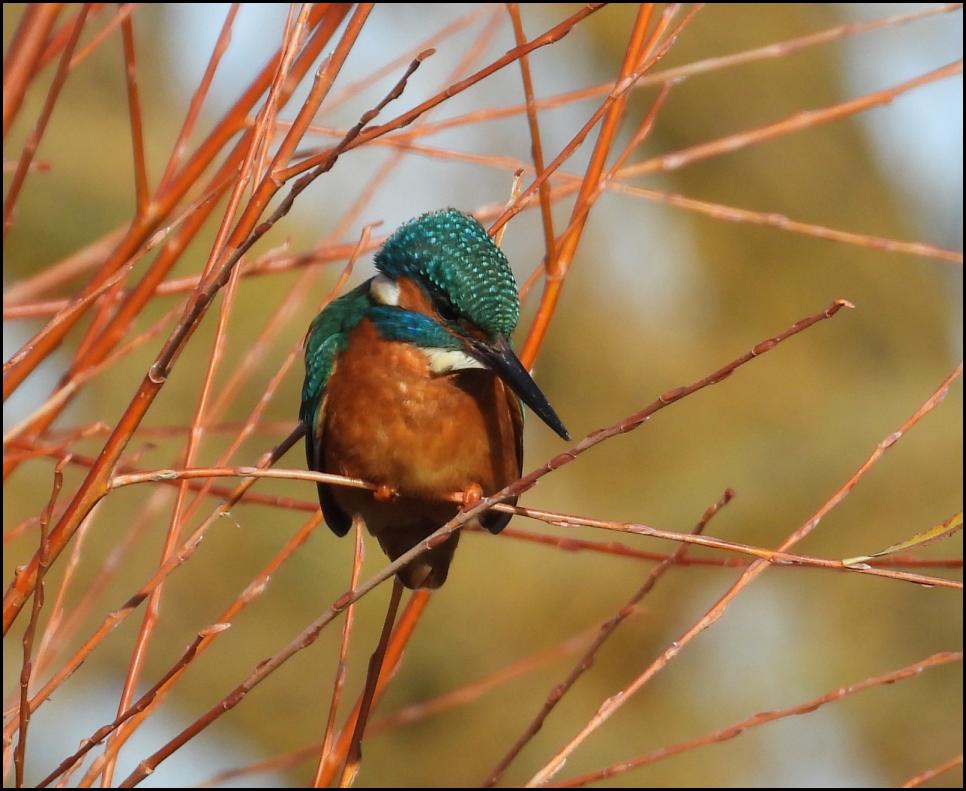 Tuesday 6th January 2026