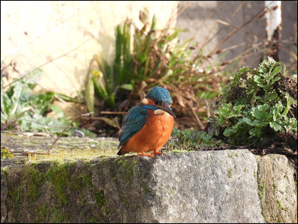 Wednesday 14th January 2026