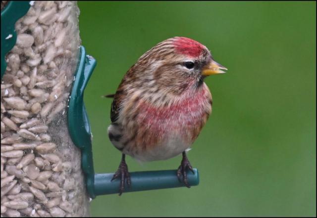 Friday 23rd January 2026