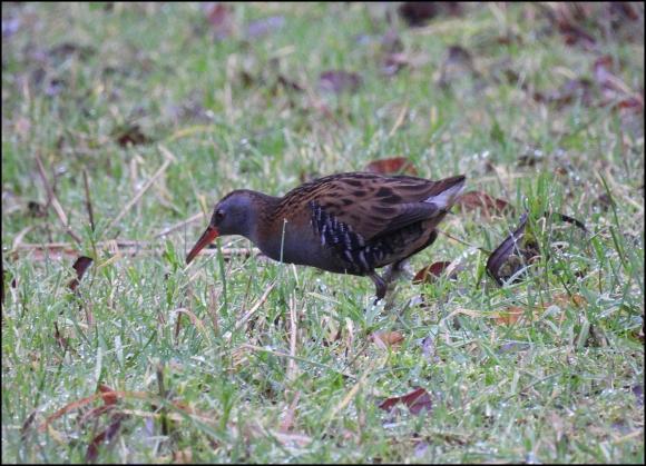 Tuesday 13th January 2026