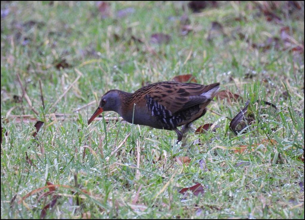 Tuesday 13th January 2026